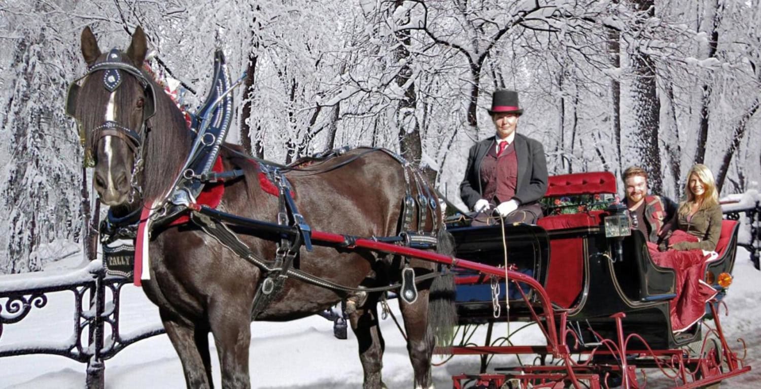 Tally-Ho Tours – We are the oldest sightseeing tour company in Victoria ...