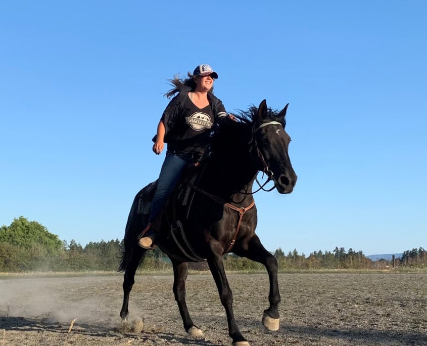 Horses - Tally-Ho Tours