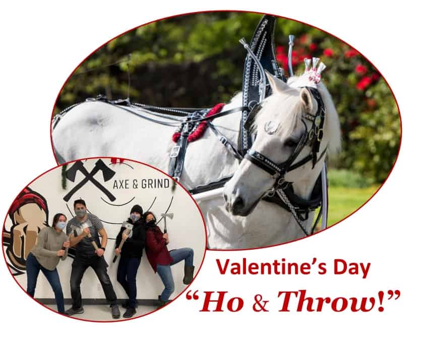 Horse Drawn Carriage Tours in Victoria BC - Tally-Ho Tours