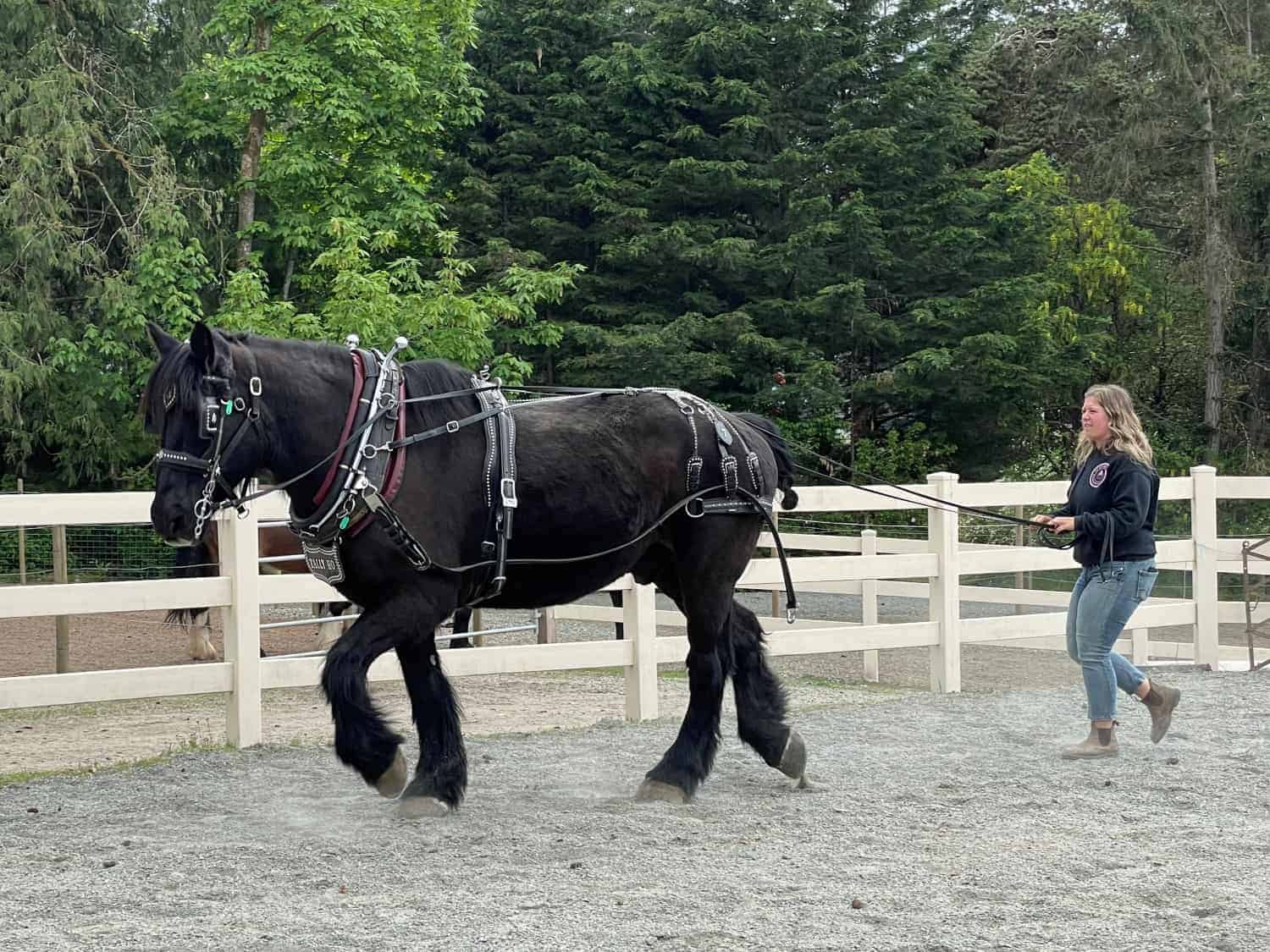 Behind the Scenes Experiences - Tally-Ho Tours