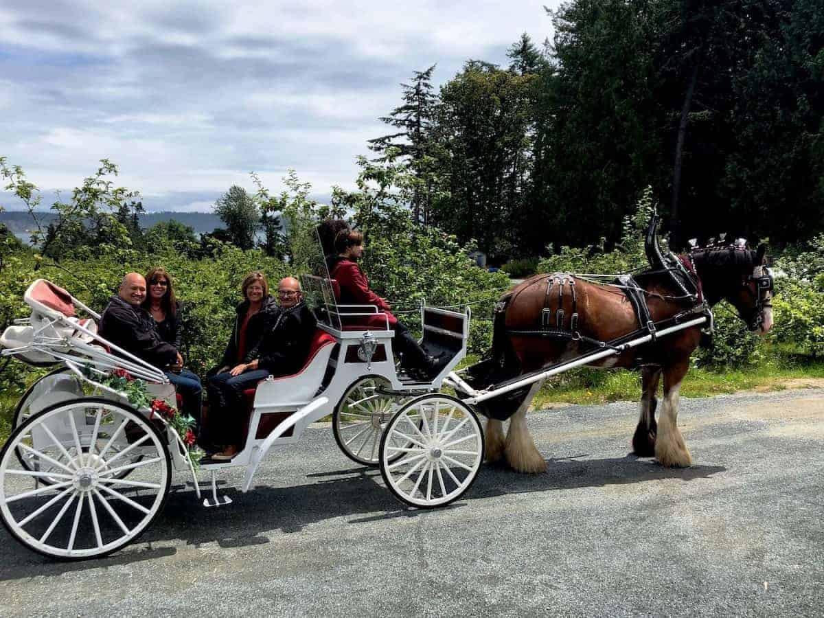 The Tally-Ho and Sea Cider Picnic Experience - Tally-Ho Tours