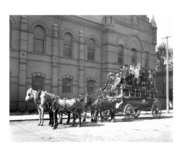 The History of the Horse and Buggy - Tally-Ho Tours