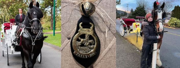 Horse Brasses: How to Identify Them and What They Mean