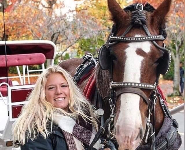 Horse Drawn Carriage Tours in Victoria BC - Tally-Ho Tours