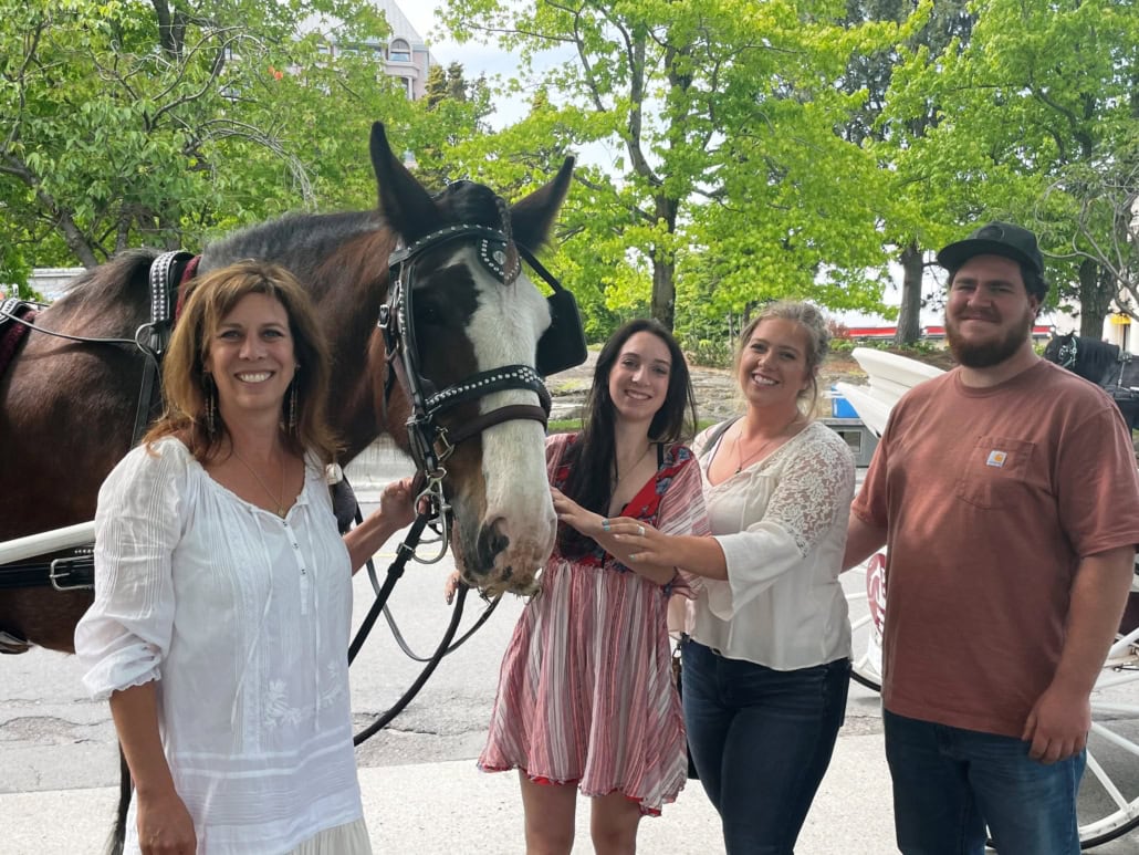 Horse Drawn Sightseeing Tours in Victoria BC | Tally-Ho Tours