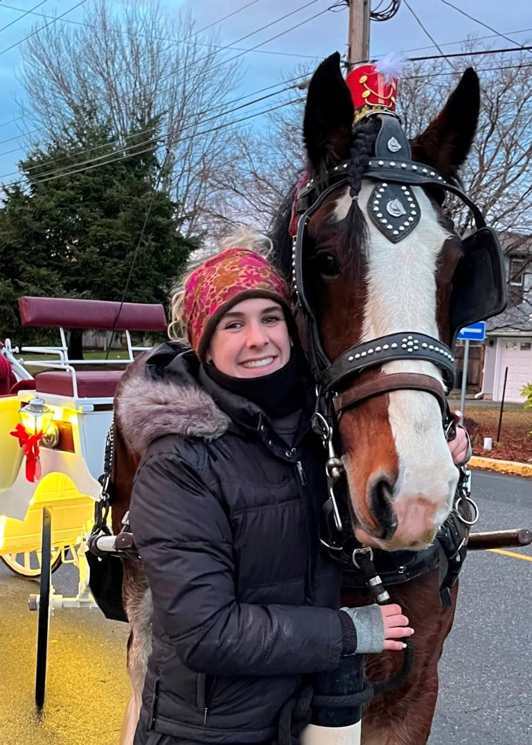 Horse Drawn Carriage Tours in Victoria BC - Tally-Ho Tours